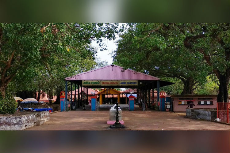 In This Kerala Municipality, You Can't Build A House Unless You Plant ...